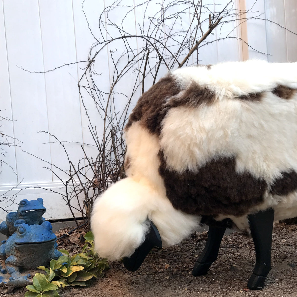 Life-size Large Grazing Sheep Bench - Black Varnish – Lost Candor