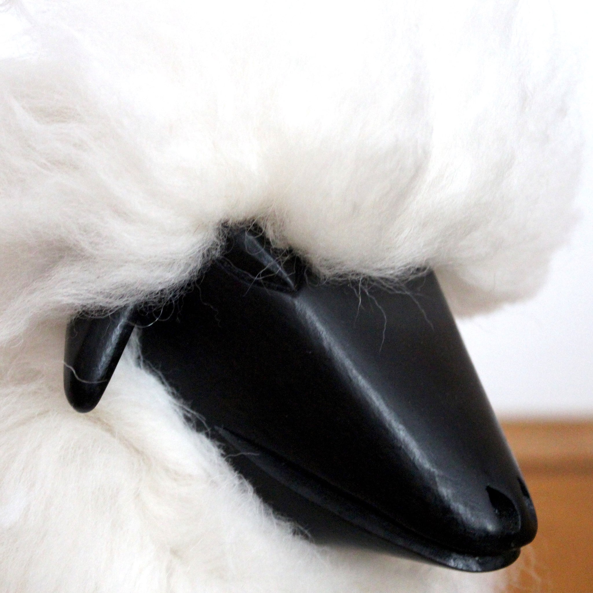 Life-Size Small Lamb Sheep - Black Varnish – Lost Candor